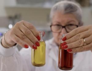 Beyond Oil USA And Eazy Grease Partner To Redefine Sustainable Frying ...