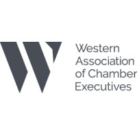 WACE Partners with Tourism AI Network and Next Gen Destination ...