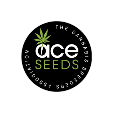 Latest! Seeds Here Now Expands Elite Lineup With Three Legendary ...
