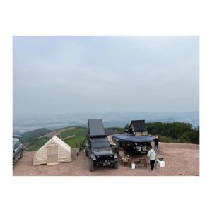 Market Analysis: Why Pingwei Is a Competitive Pickup Truck Canopy Bulk ...