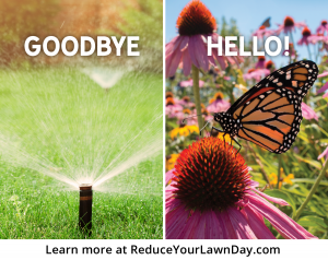 Reduce Your Lawn Day Movement Surpasses 63 Million Square Feet of Lawn ...