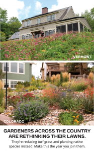 Reduce Your Lawn Day Movement Surpasses 63 Million Square Feet of Lawn ...