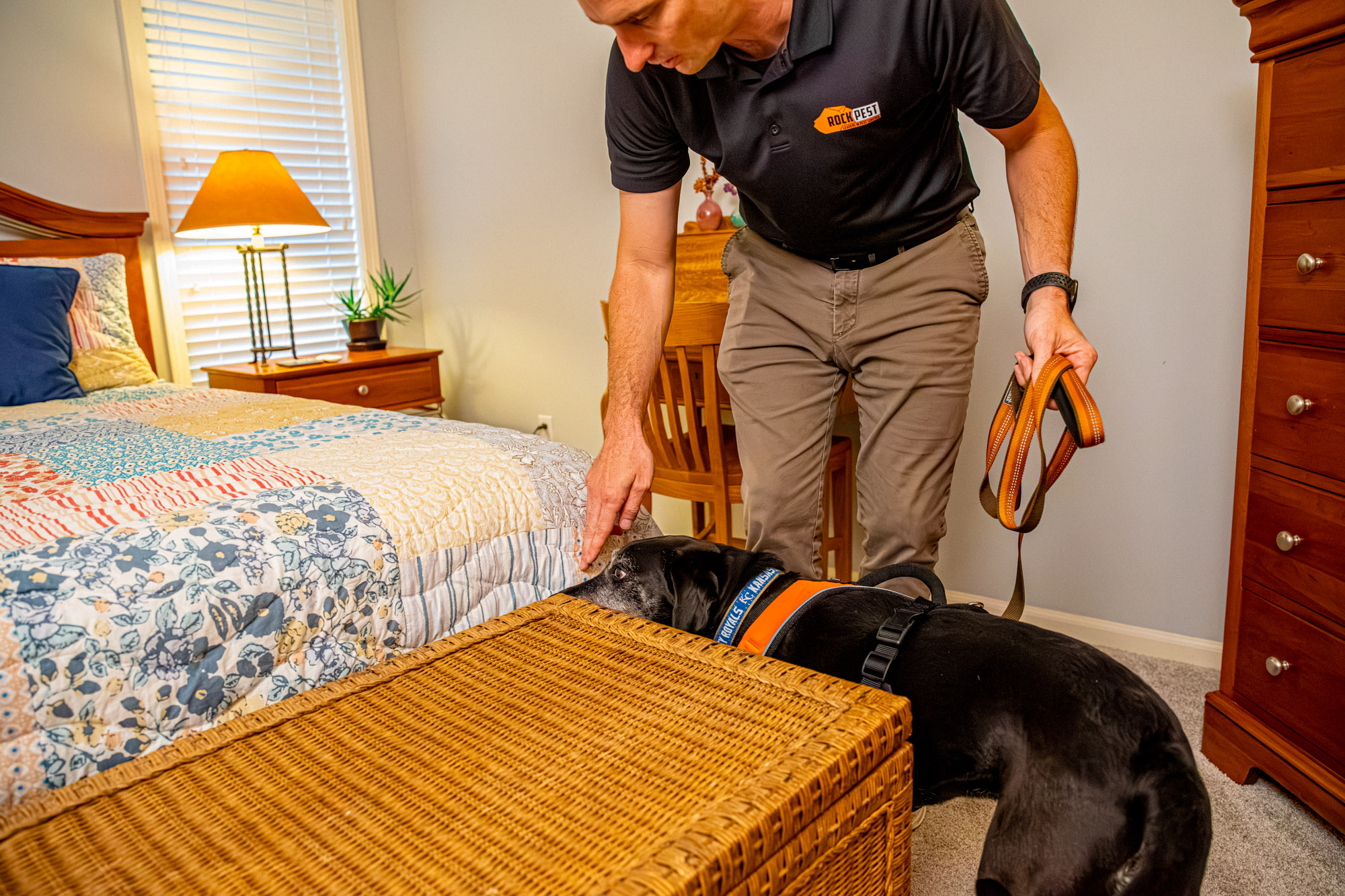Rock Pest Control Launches Summer Bed Bug Giveaway as Kansas City ...
