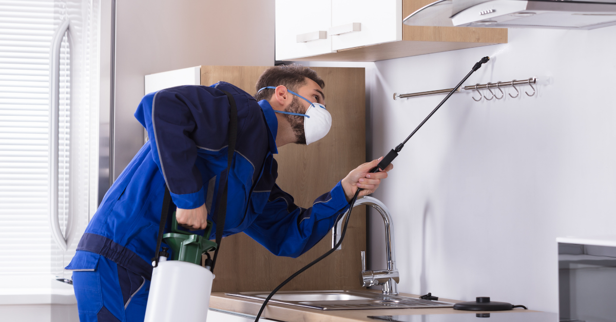 Pest Control Service in Covington, LA Launches New Marketing Campaign ...