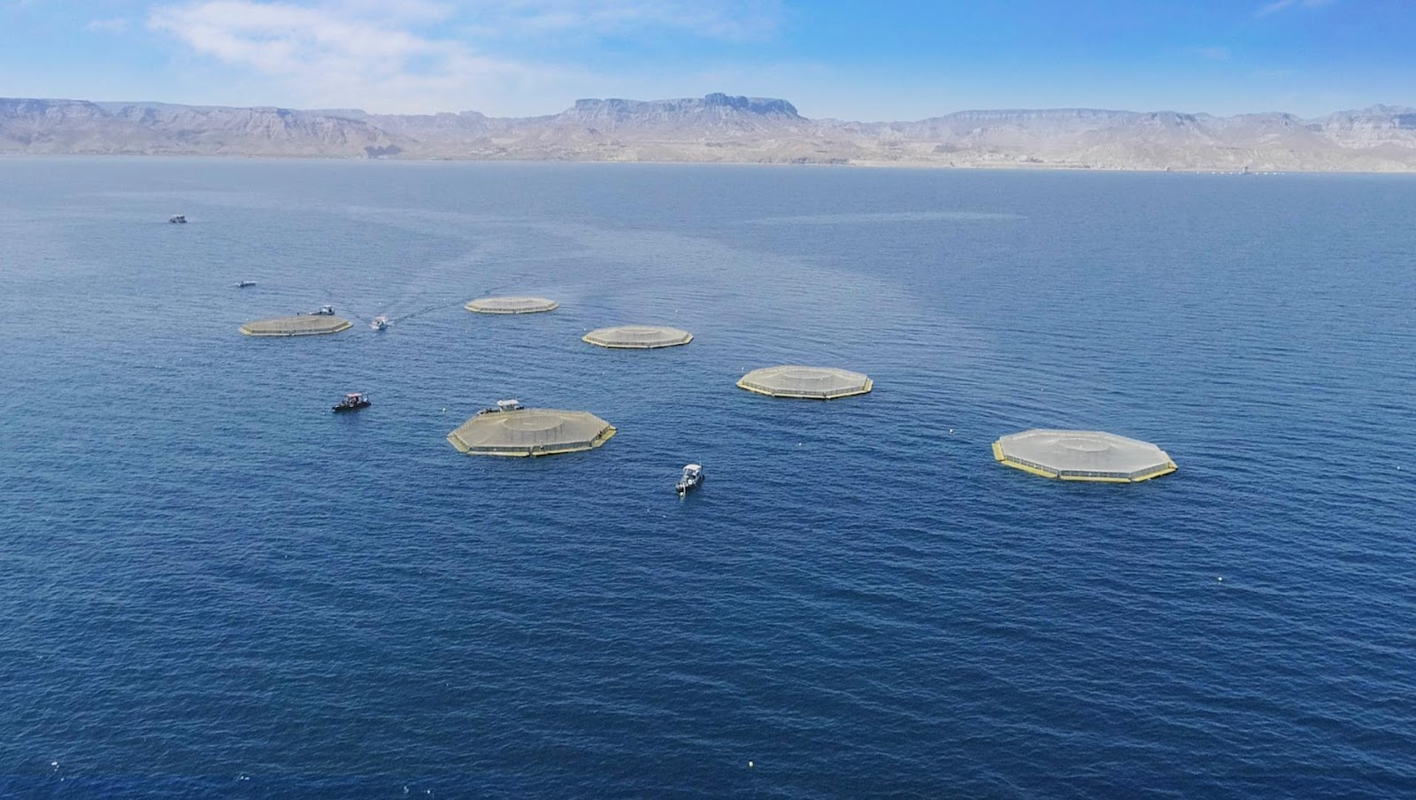 Earth Ocean Farms Receives Another Best Aquaculture Practices ...