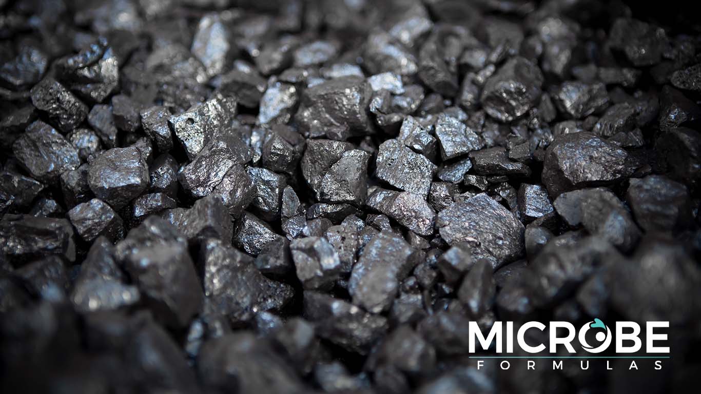 Microbe Formulas Names February ‘Heavy Metals Awareness Month’ | The ...