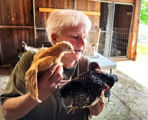 Blue Star Chicken Farms Debunks Common Misconceptions About Raising ...