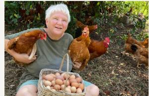 Blue Star Chicken Farms Debunks Common Misconceptions About Raising ...