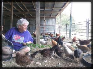 Blue Star Chicken Farms Debunks Common Misconceptions About Raising ...