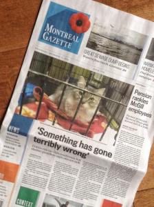 Former Founder of Montrealâ€™s Animal Rescue Network (ARN), Barbara ...