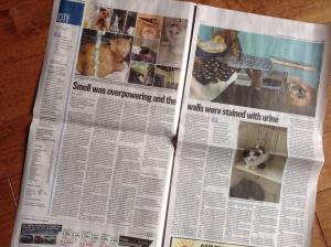 Former Founder of Montrealâ€™s Animal Rescue Network (ARN), Barbara ...