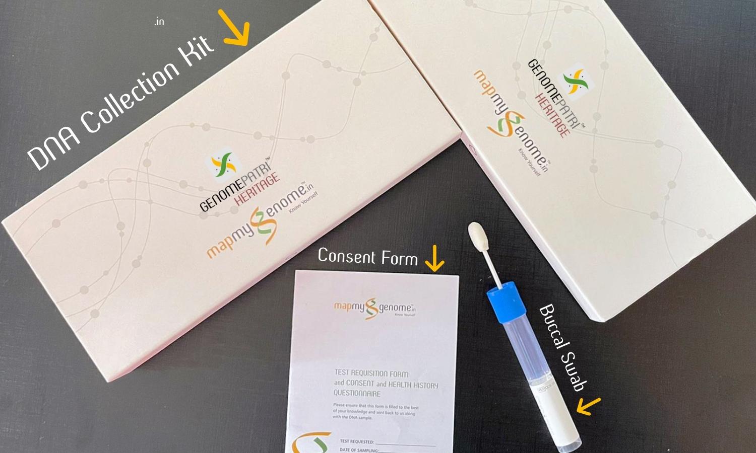 Genomepatri Heritage, Mapmygenome’s DNA-based Ancestry Test Now Covers ...