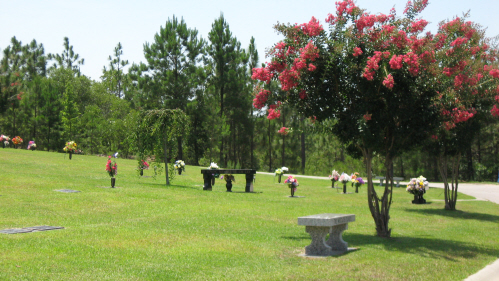 Memory Forest Expands into the Southeast with Greenhaven Memorial ...