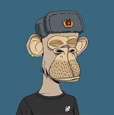 Bored Ape Yacht Club Chooses Their Own Future